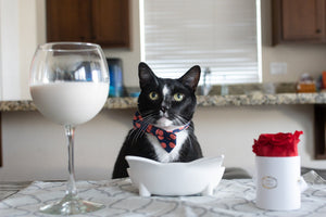 Meet Steven William Mathews Ellis | Love, Nala