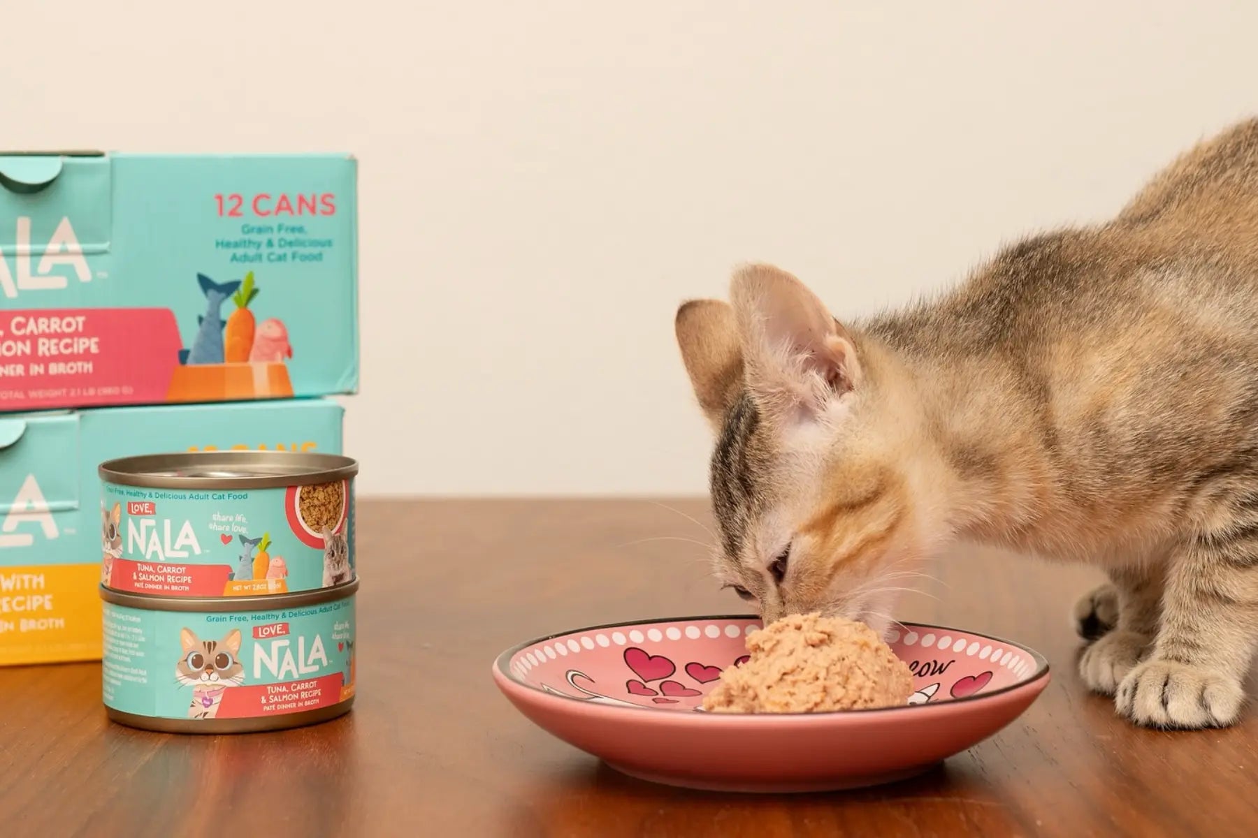 Cat Food Nutrition: Canned vs. Dry Guide | Blog - Love, Nala