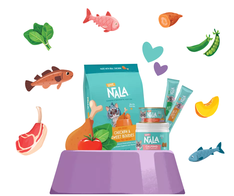 Best Cat Food | About - Love Nala